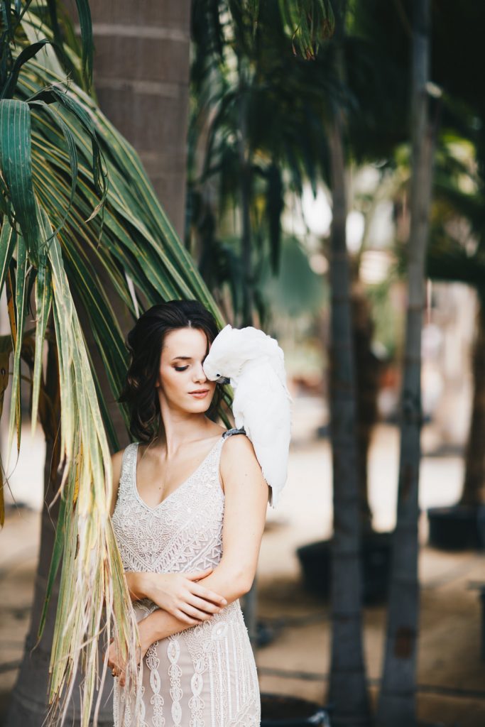 Colonial Style Wedding | Purple Tree Wedding Photographers