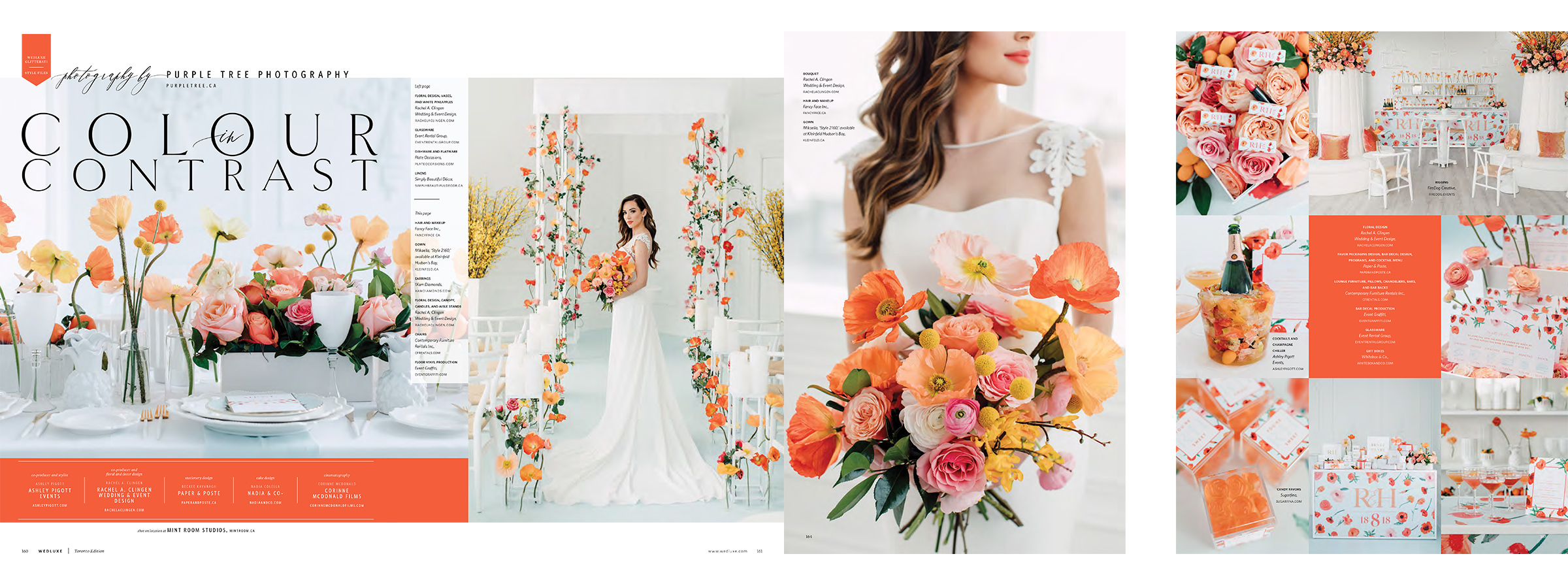 Purple Tree Wedding Photographers Toronto